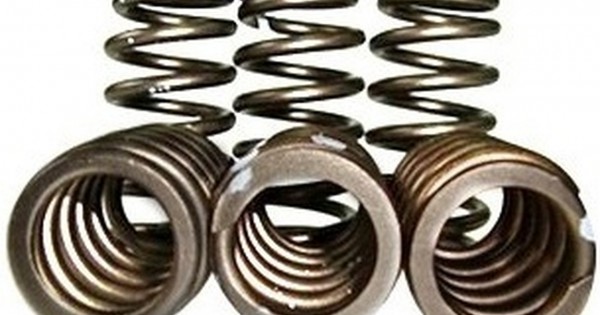 C14010 - Heavy Duty 60 Psi Valve Springs | 89-98 Dodge 5 9L Cummins