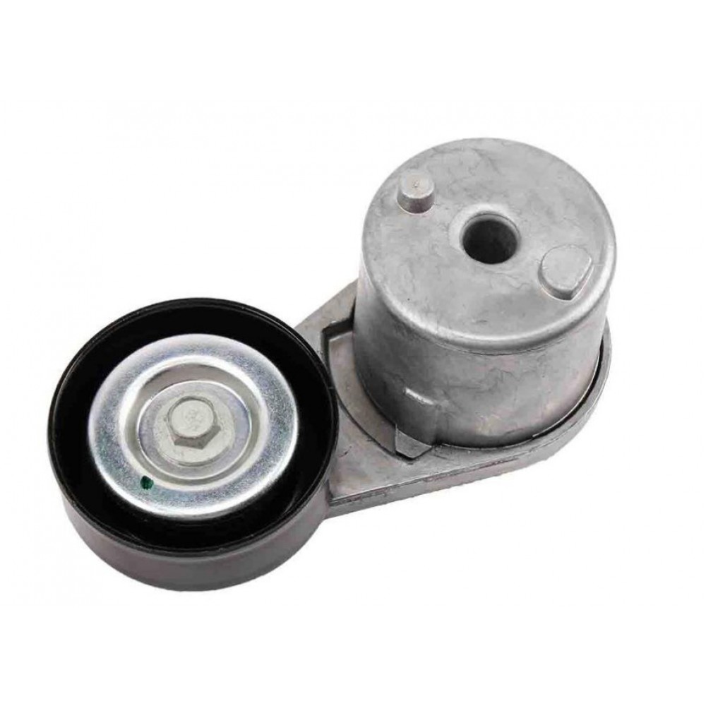 W8832437 - Workhorse 8.1L Chassis Belt Tensioner with Pulley ...