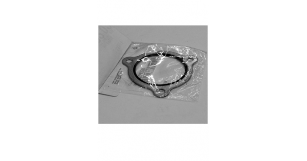 12594339 - Seal - Camshaft Position Actuator - Workhorse Parts